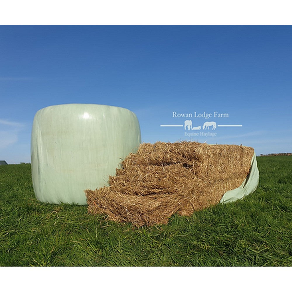 Rowan Lodge Haylage **Small Square Bale** – Inishowen Co-Op