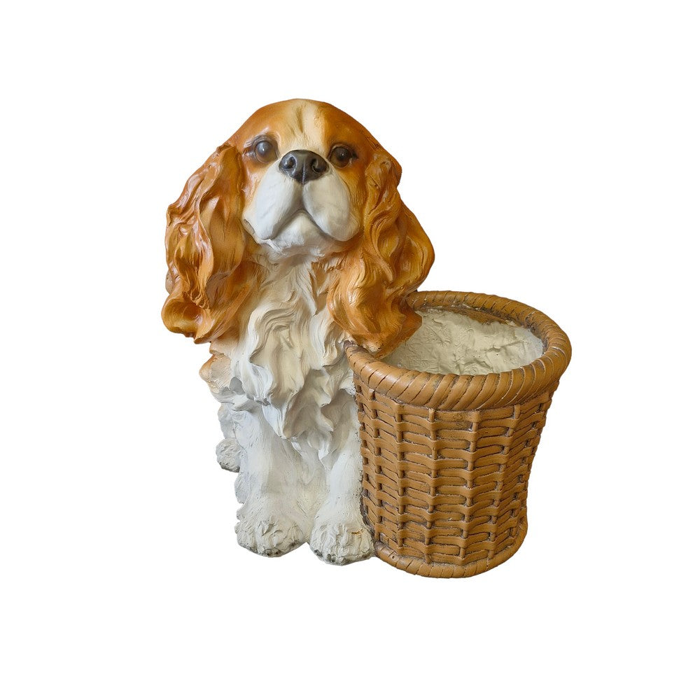 CAVILIER KING CHARLESPLANTER – Inishowen Co-Op