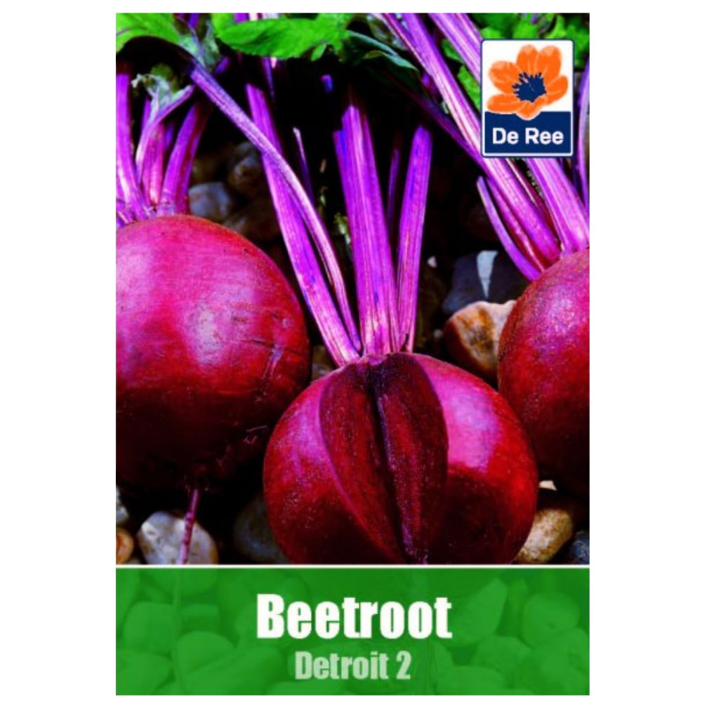Beetroot Detroit 3 – Inishowen Co-Op
