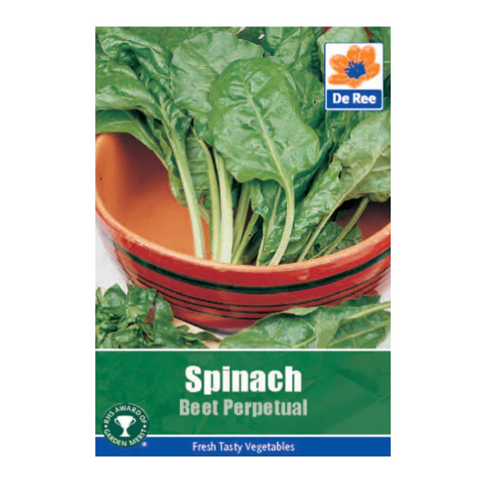 Spinach Beet Perpetual – Inishowen Co-Op