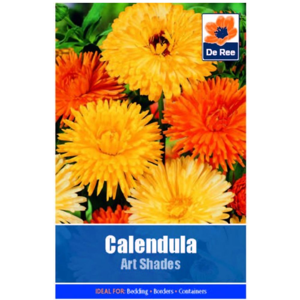 Calendula Art Shades – Inishowen Co-Op