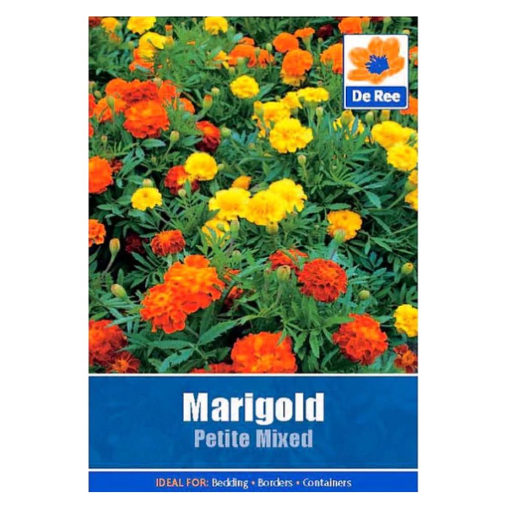 Marigold petite mixed – Inishowen Co-Op