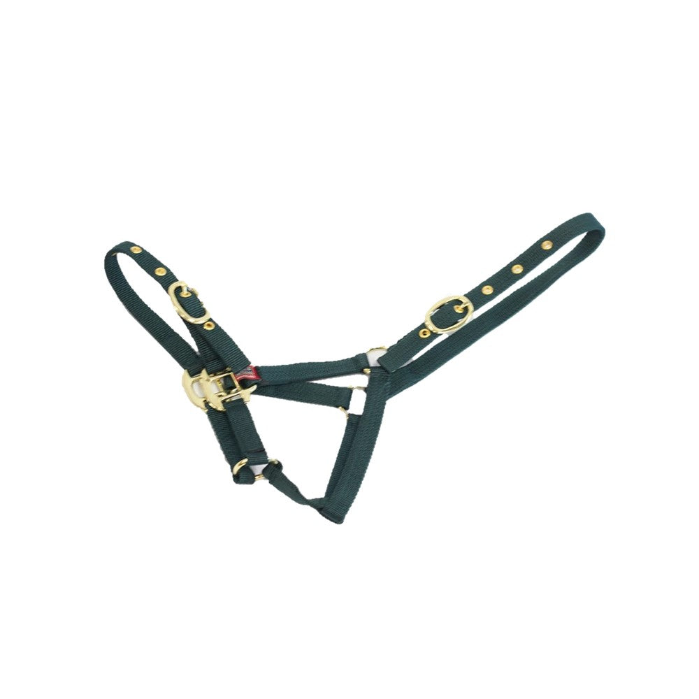 NYLON HEADCOLLAR COB/GREEN – Inishowen Co-Op