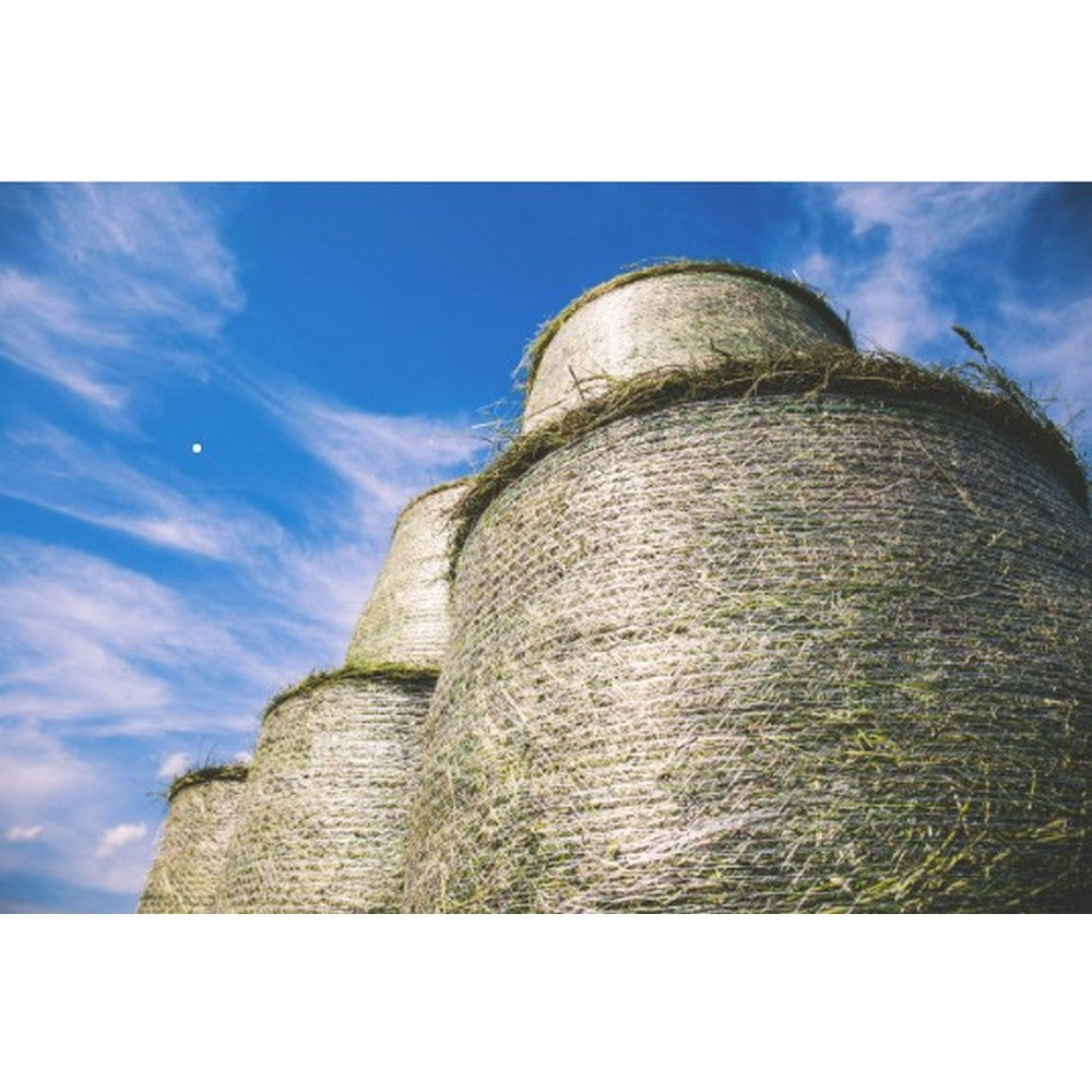 Net*3600Mt*Premium PLUS Co-Op Source / Emerald / White /Green ...