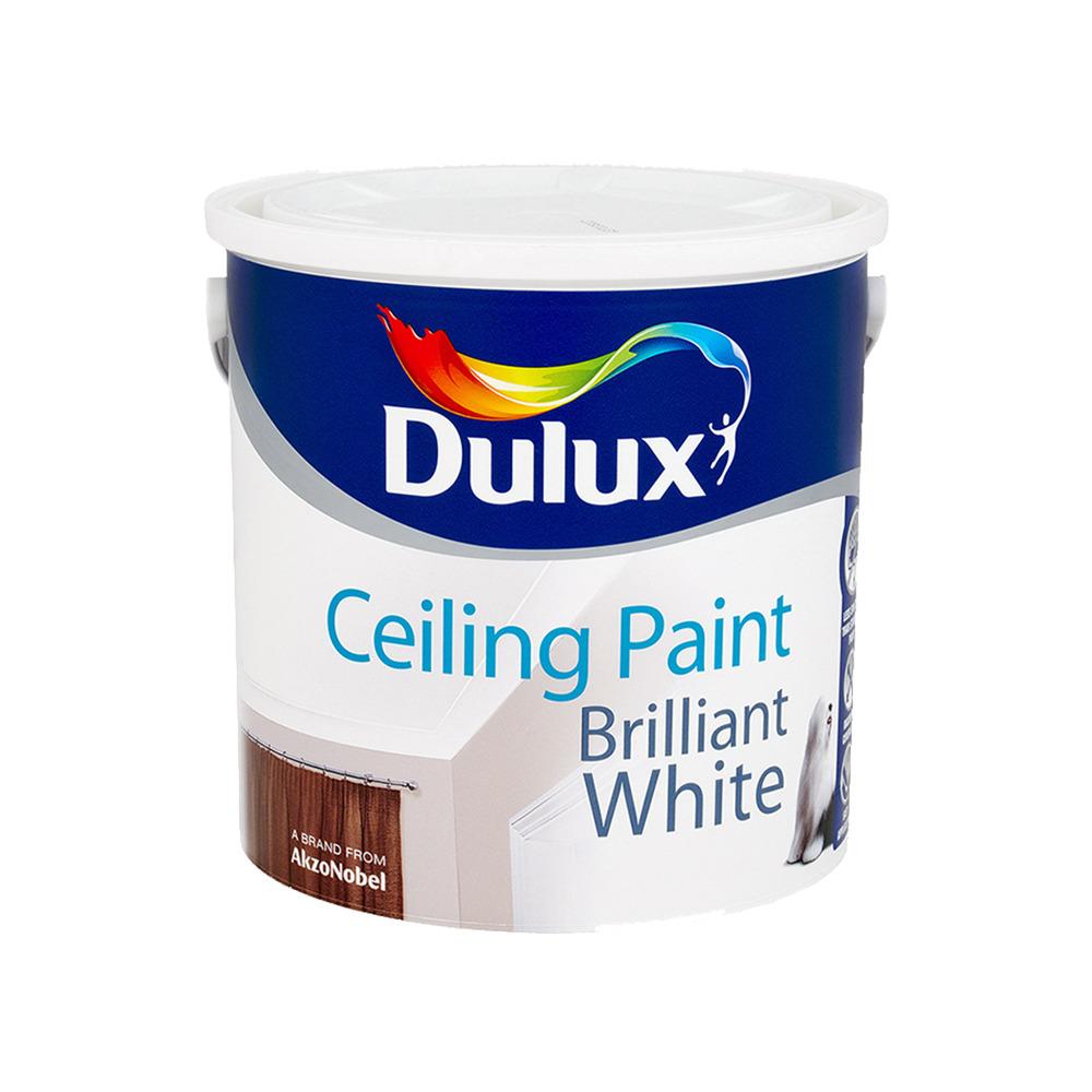 DU CEILING PAINT PBW 2.5L – Inishowen Co-Op